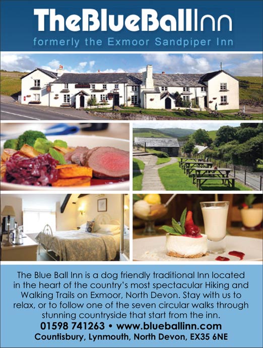 The Blue Ball Inn | Pets and Animals Directory Portal